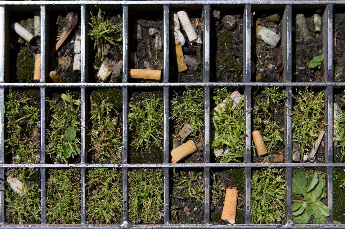 Fumer nuit gravement à la santé des poissons