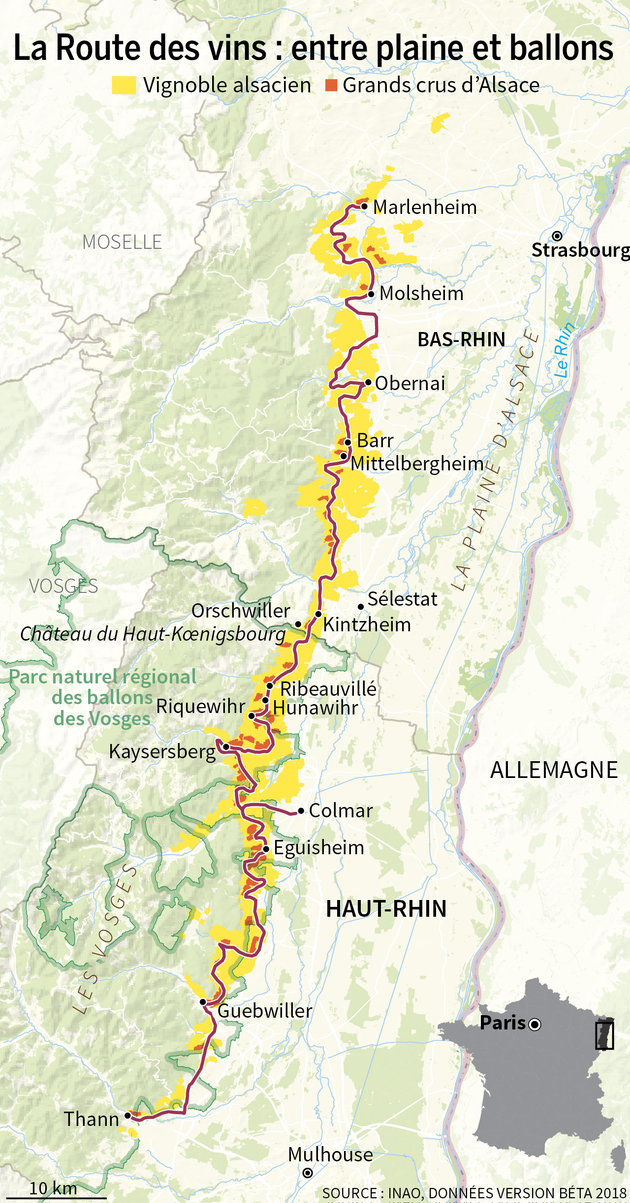 En Alsace, une Route des vins exemplaire