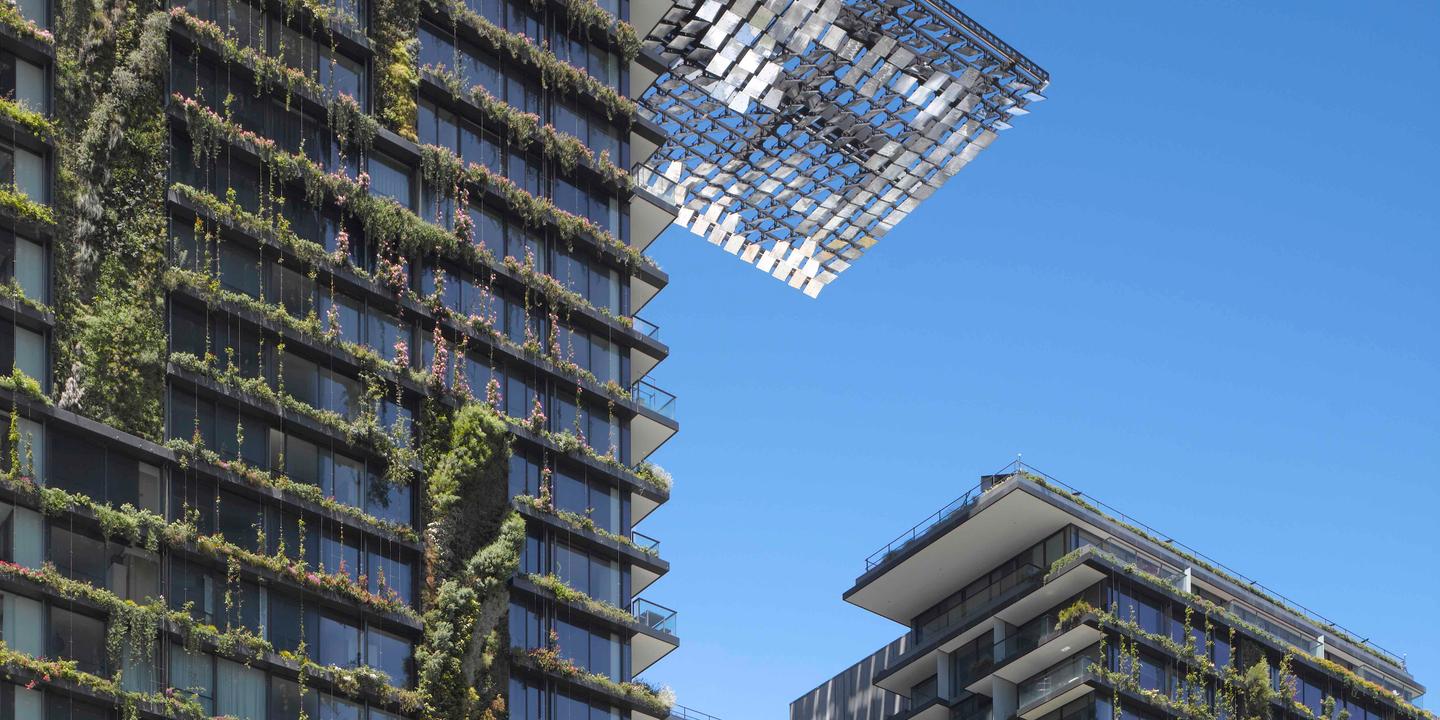 Ces nouveaux architectes verts qui font respirer les villes