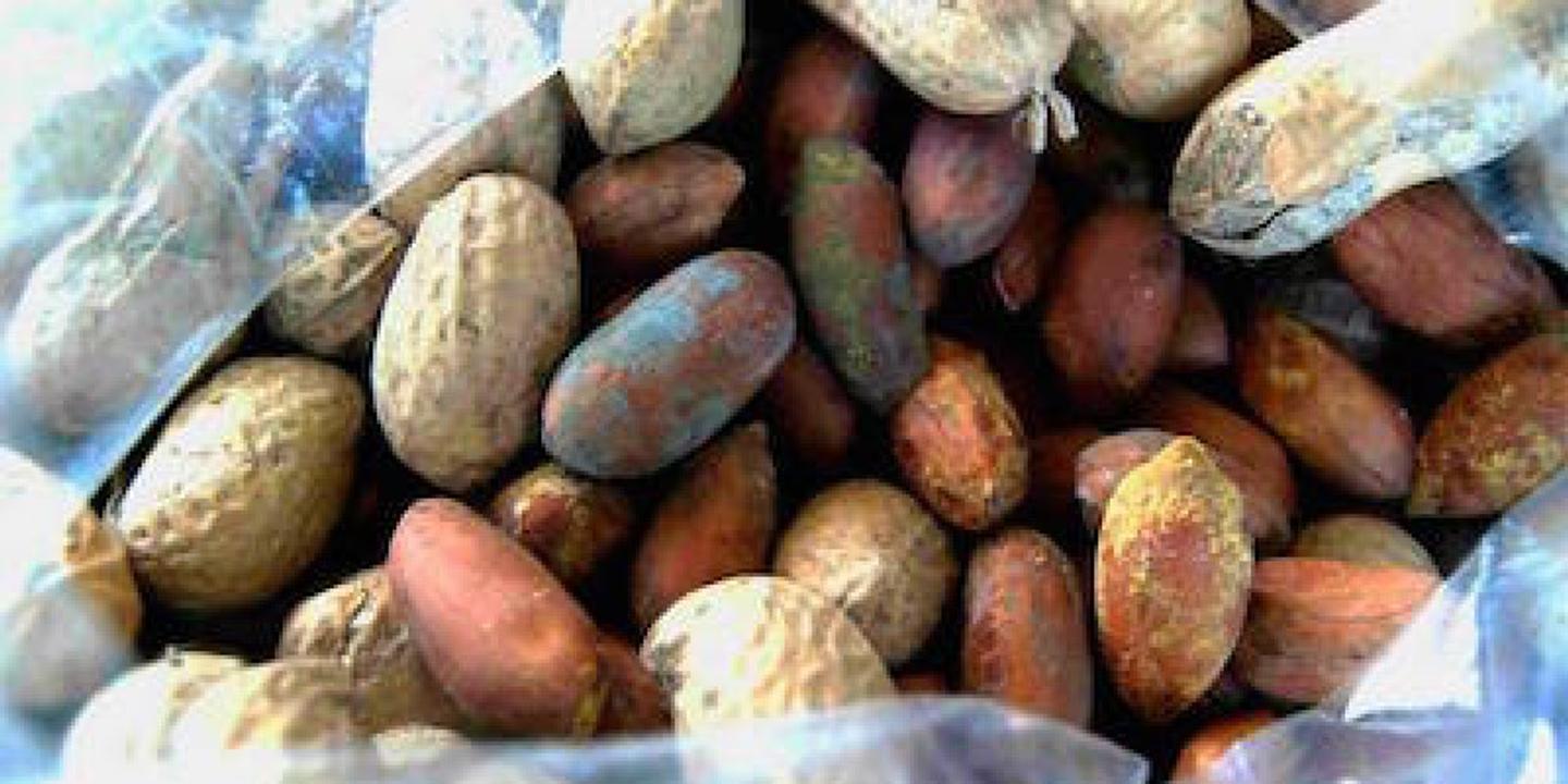 L Arachide Au Sénégal Filière Arachide Au Sénégal: Agressions