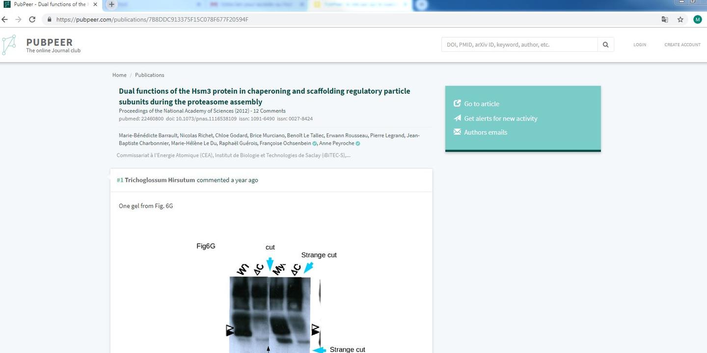 PubPeer, le site par qui le scandale de « l’inconduite scientifique » arrive