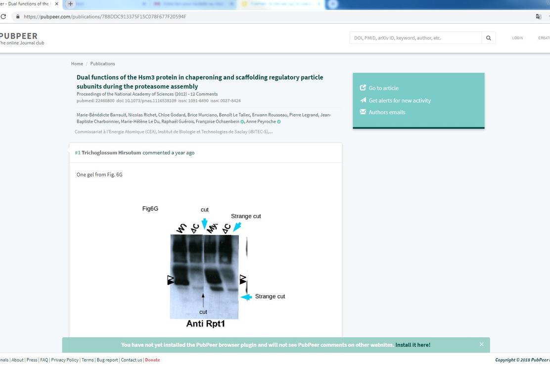 PubPeer, le site par qui le scandale de « l’inconduite scientifique ...