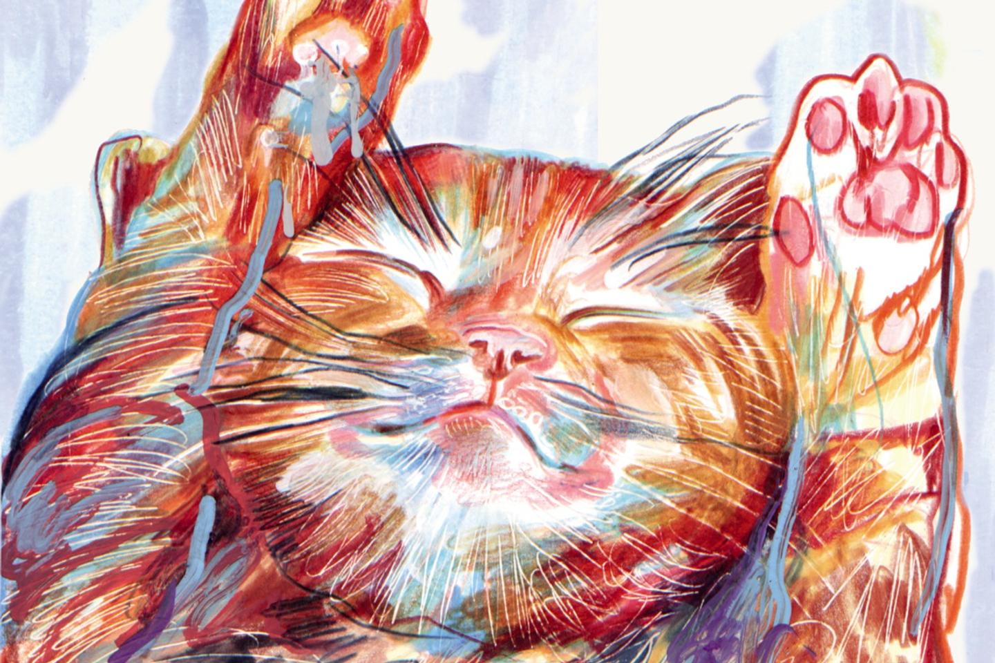 #sleepyme ou le sommeil fantasmé