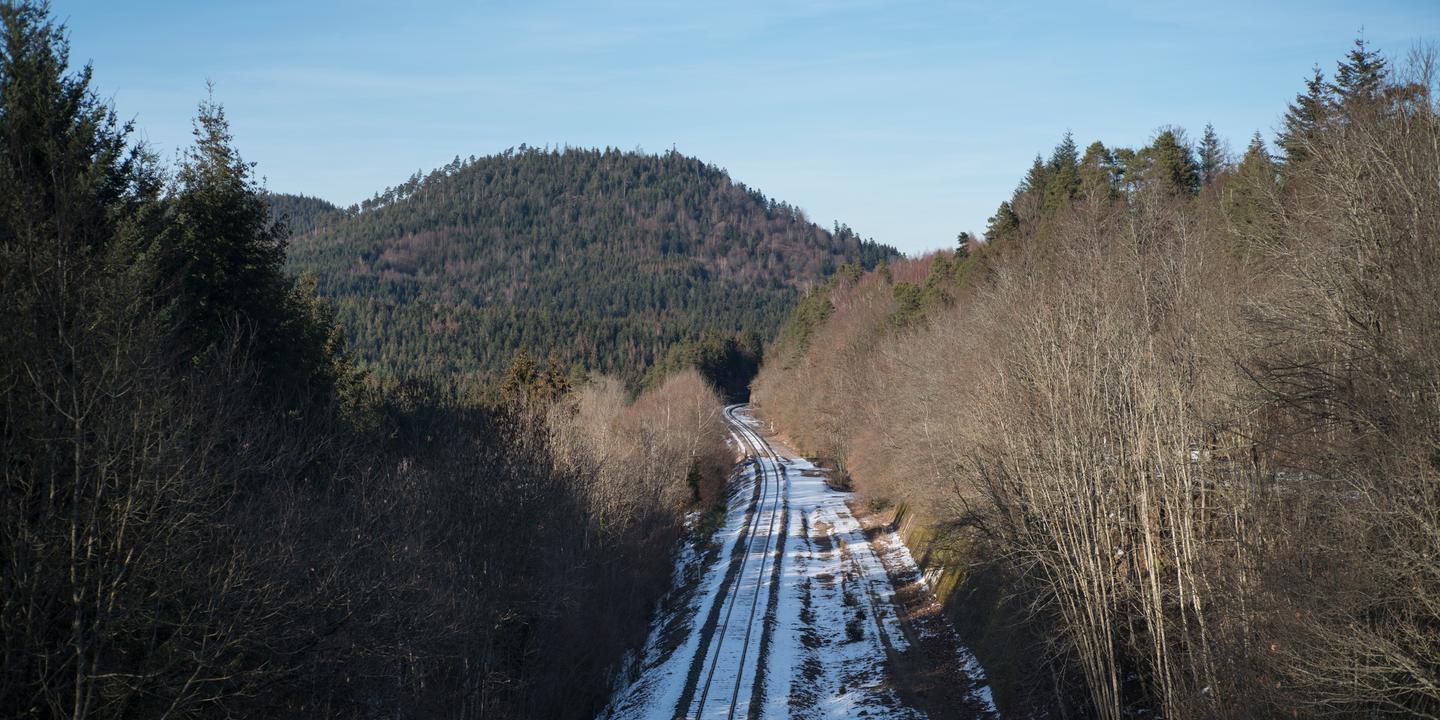 Le renouveau des petites lignes ferroviaires commence dans les Vosges
