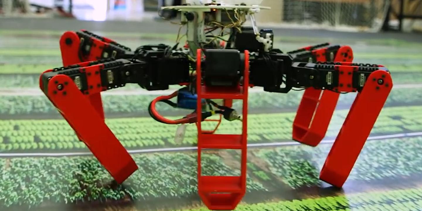 AntBot, un robot autonome inspiré par des fourmis du désert