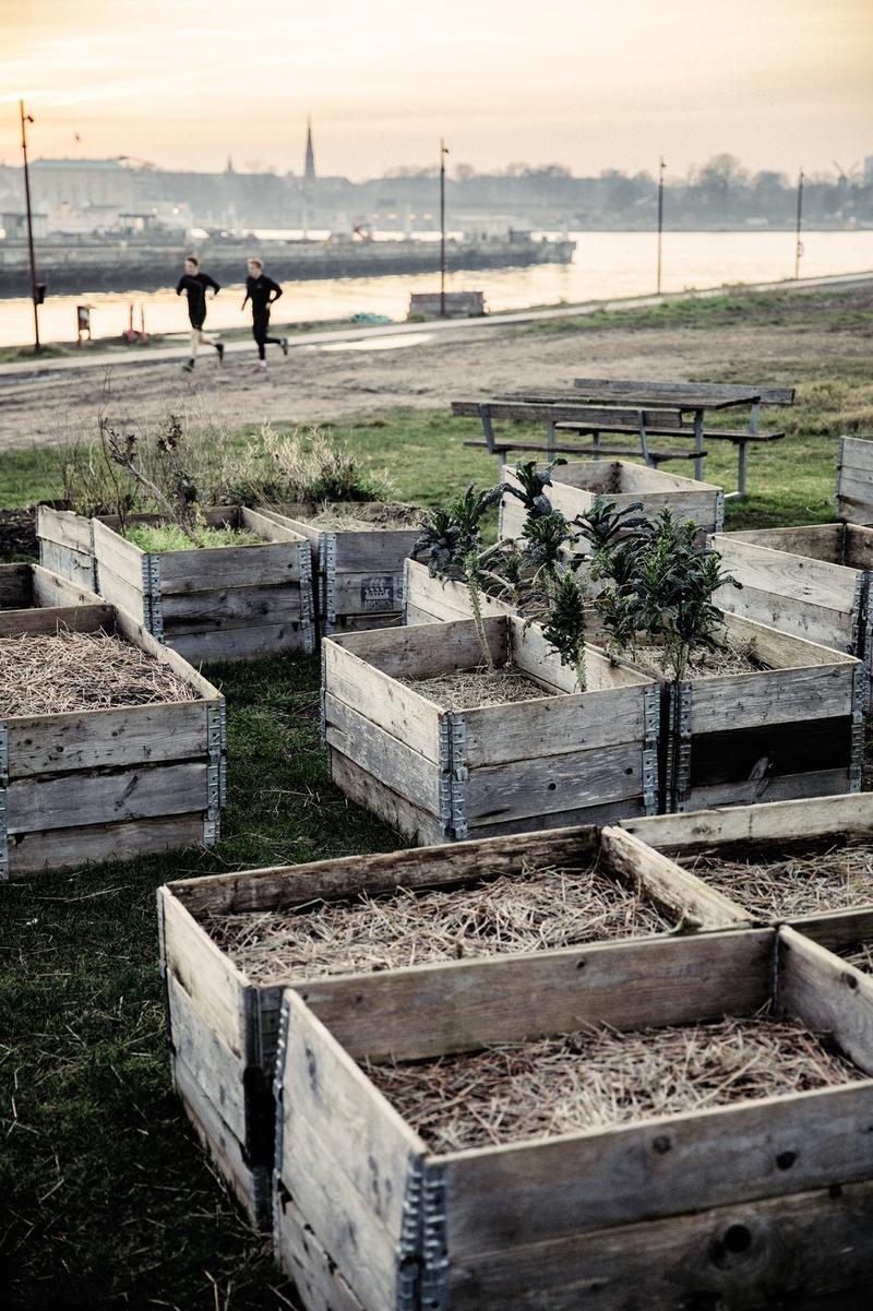 Dans le quartier de Refshaleoen, à Copenhague, terrains vagues et ...