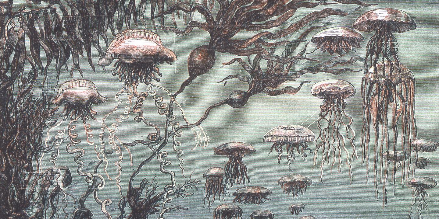 Jean Verne : « Jules Verne était un arrière-grand-père tutélaire, mais ...