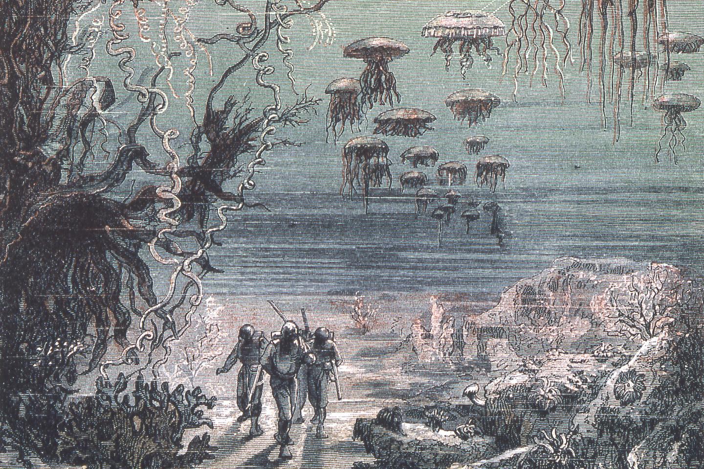 Jean Verne : « Jules Verne était un arrière-grand-père tutélaire, mais ...