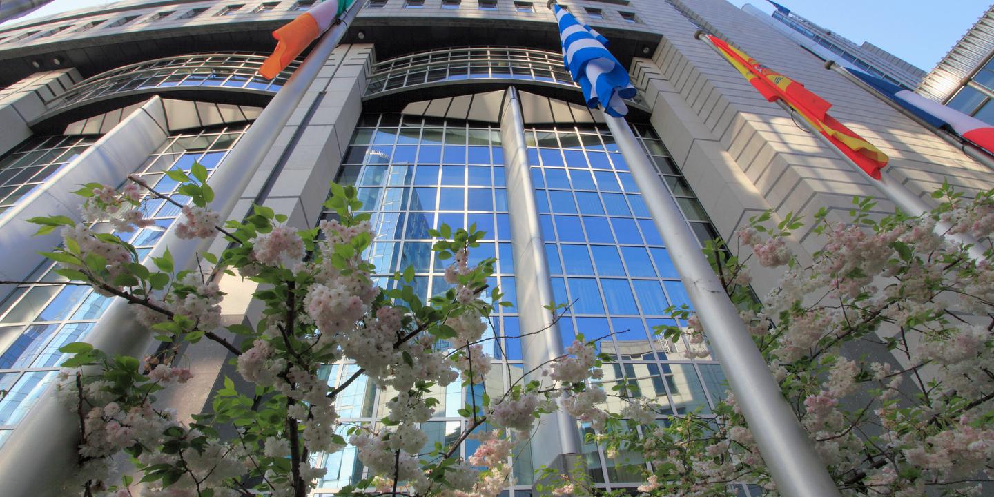 H. bunny only fans we enjoyed some intense sweaty sex in a