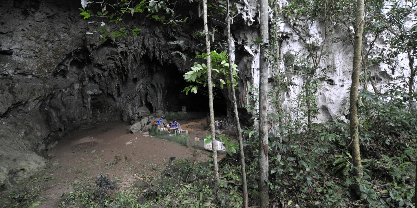 L’« homme de Callao », une nouvelle espèce humaine découverte aux ...