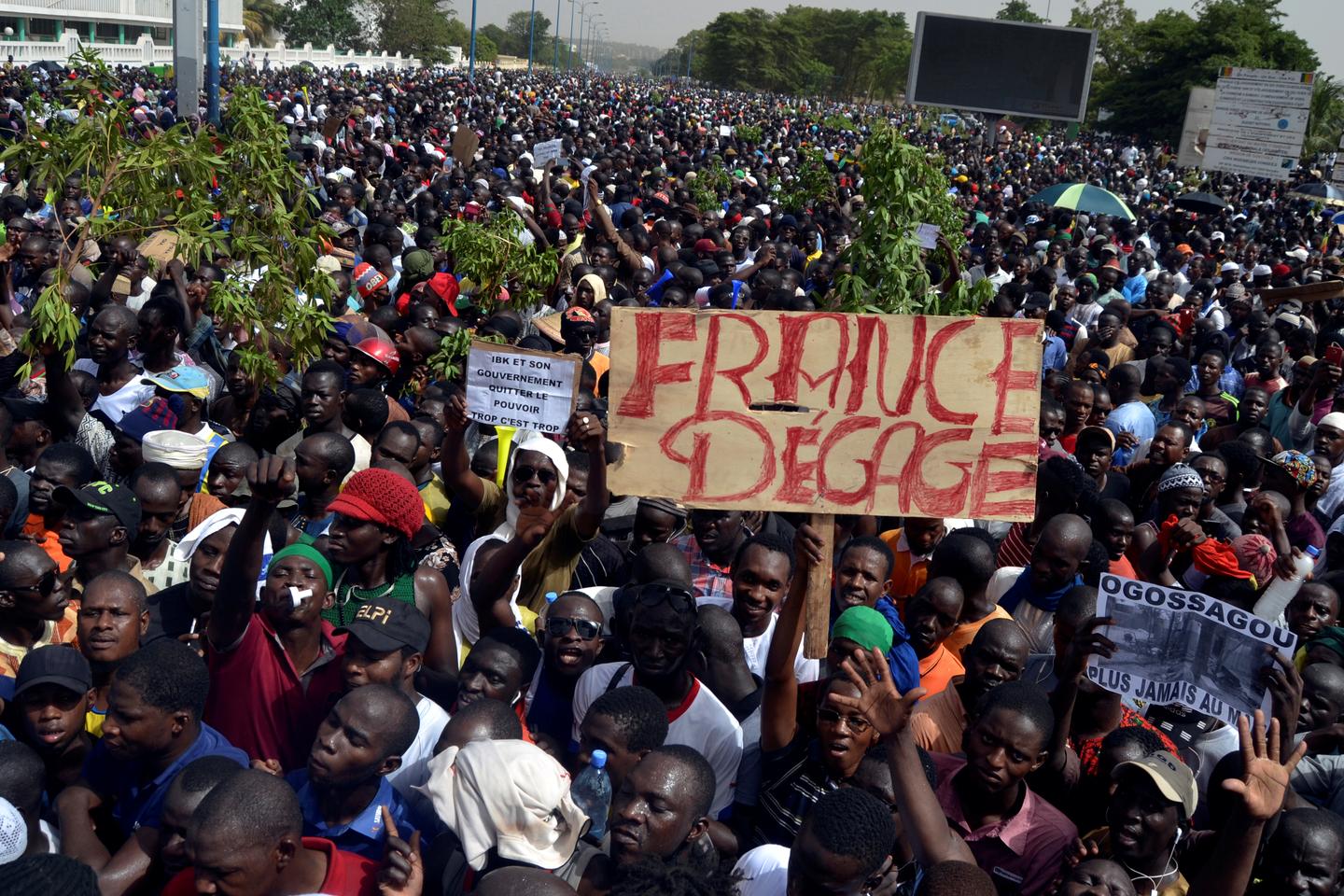 'The situation in Mali illustrates the limits of the global economic ...