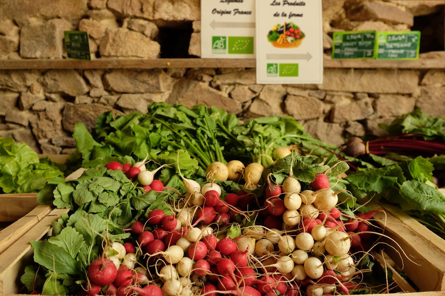 Comment les produits bio sont-ils contrôlés