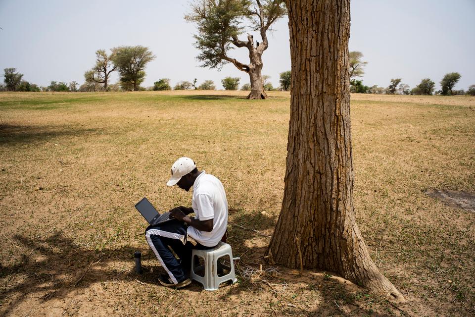 Au Sénégal, le mil, céréale millénaire et dernier rempart contre la ...