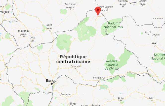 En Centrafrique, le bilan des combats de Birao atteint les trente-huit ...