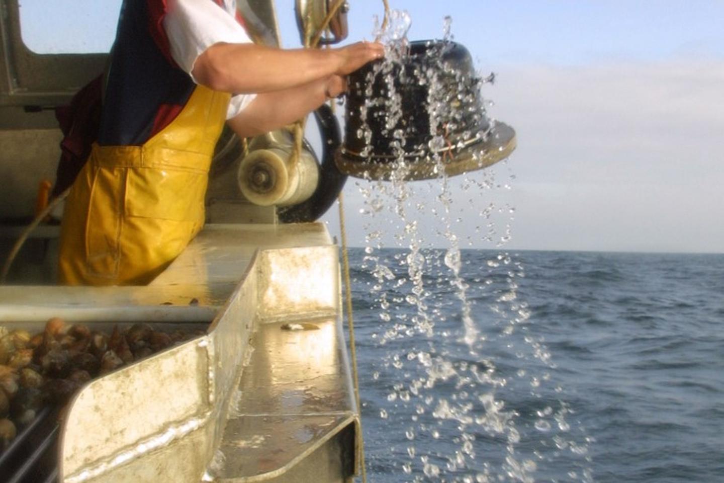 « Le bulot bulle au fond de l’eau