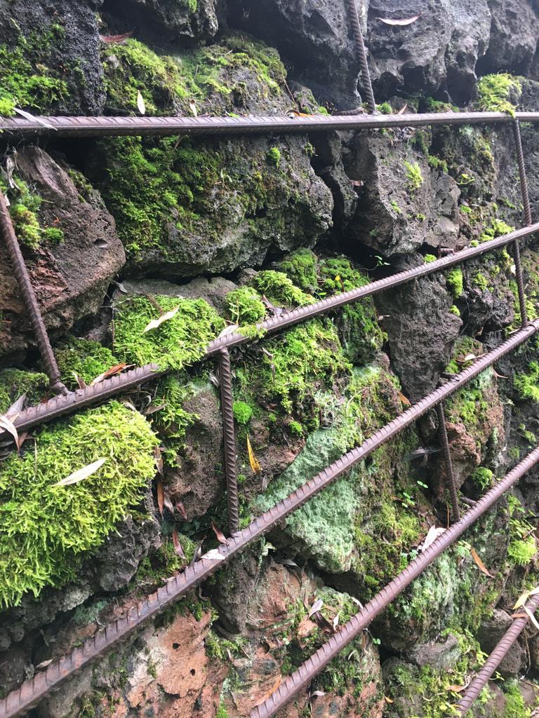 Les jardins de Pascal Cribier (de Varengeville au donjon de Vez)