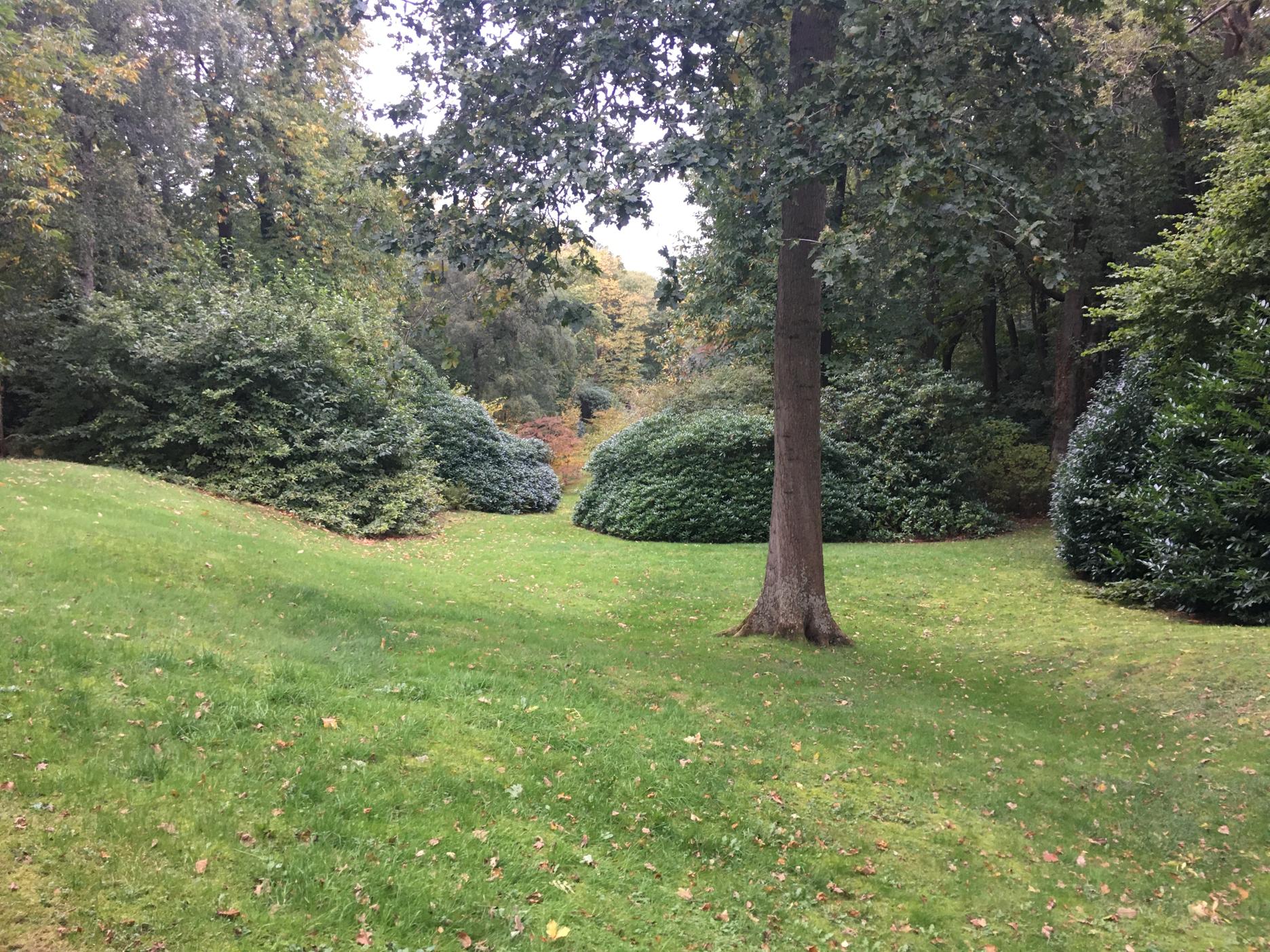 Les jardins de Pascal Cribier (de Varengeville au donjon de Vez)