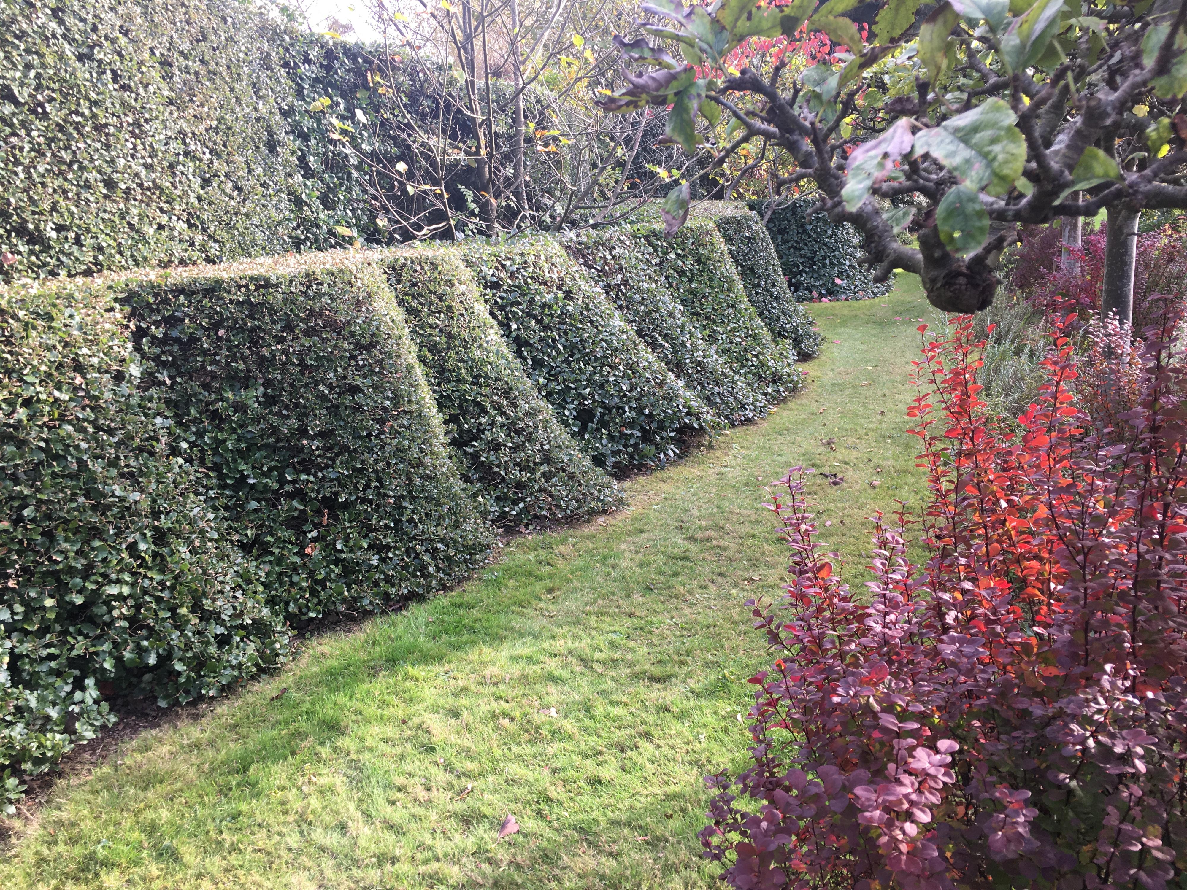 Les jardins de Pascal Cribier (de Varengeville au donjon de Vez)