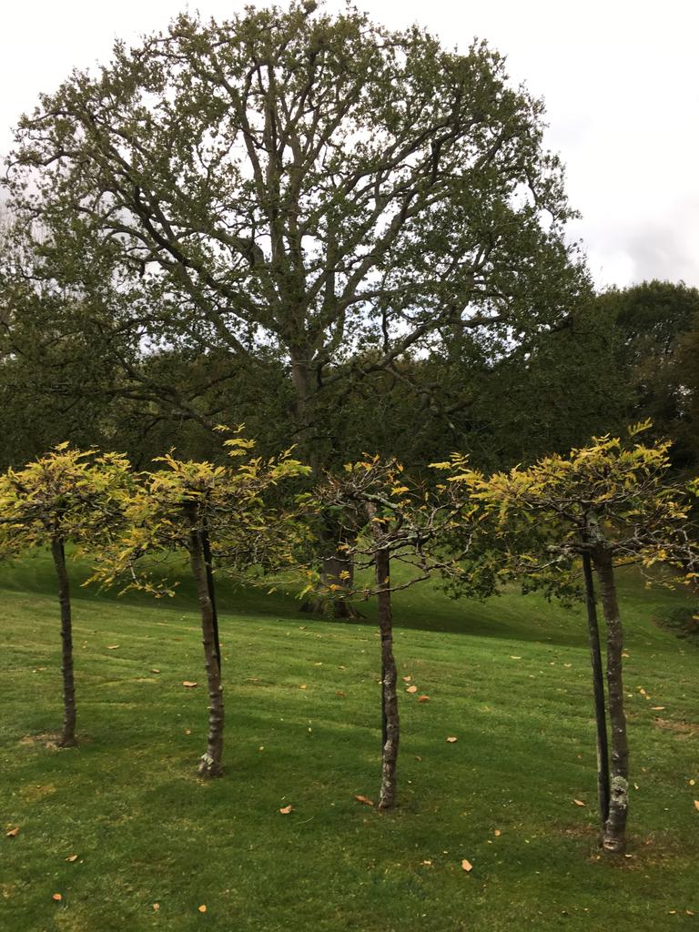 Les Jardins De Pascal