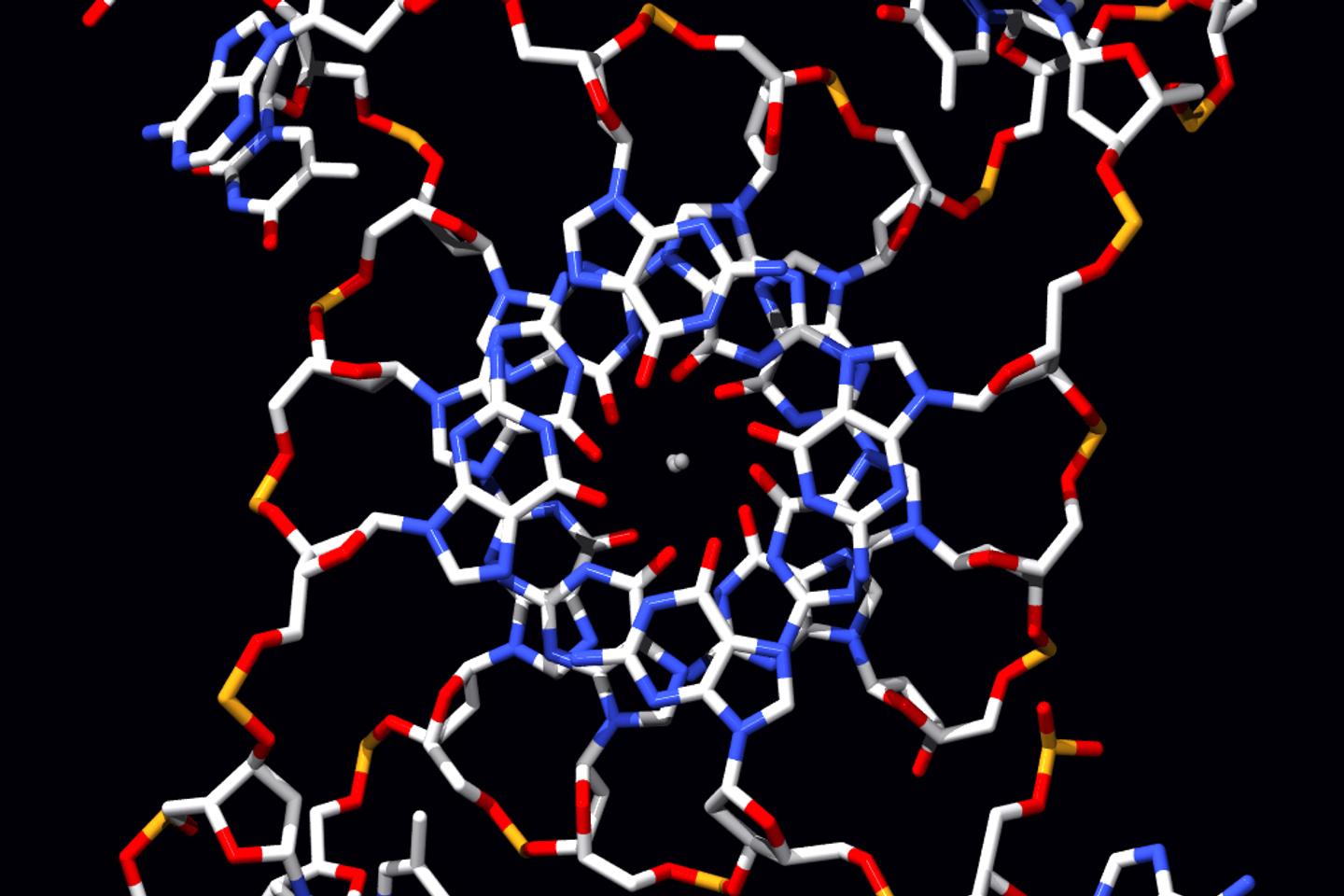 Eric Gilson : « Vieillir pour ne pas mourir, parfois, grâce aux télomères