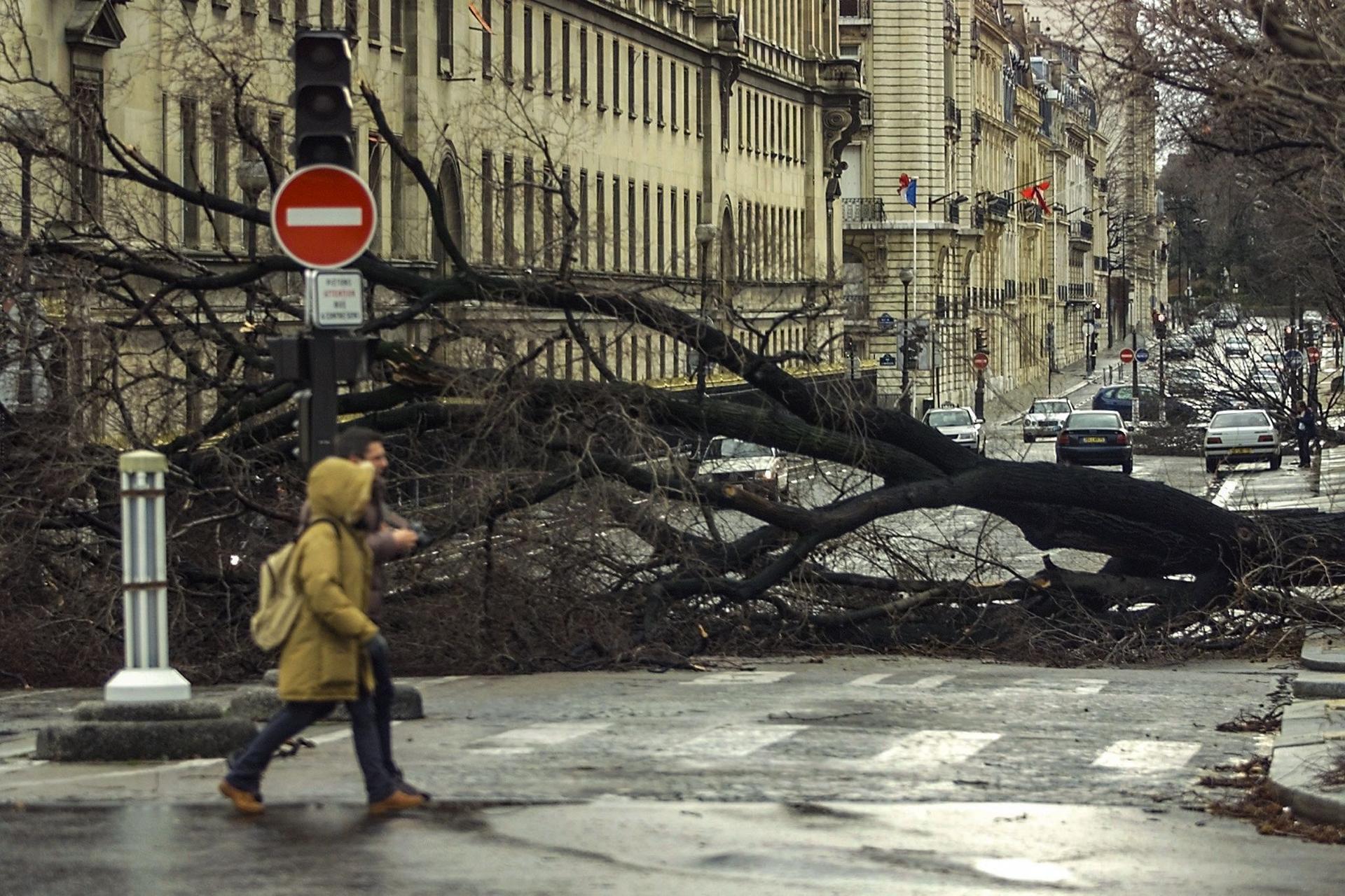 Vingt ans après, le souvenir des tempêtes Lothar et Martin est toujours ...