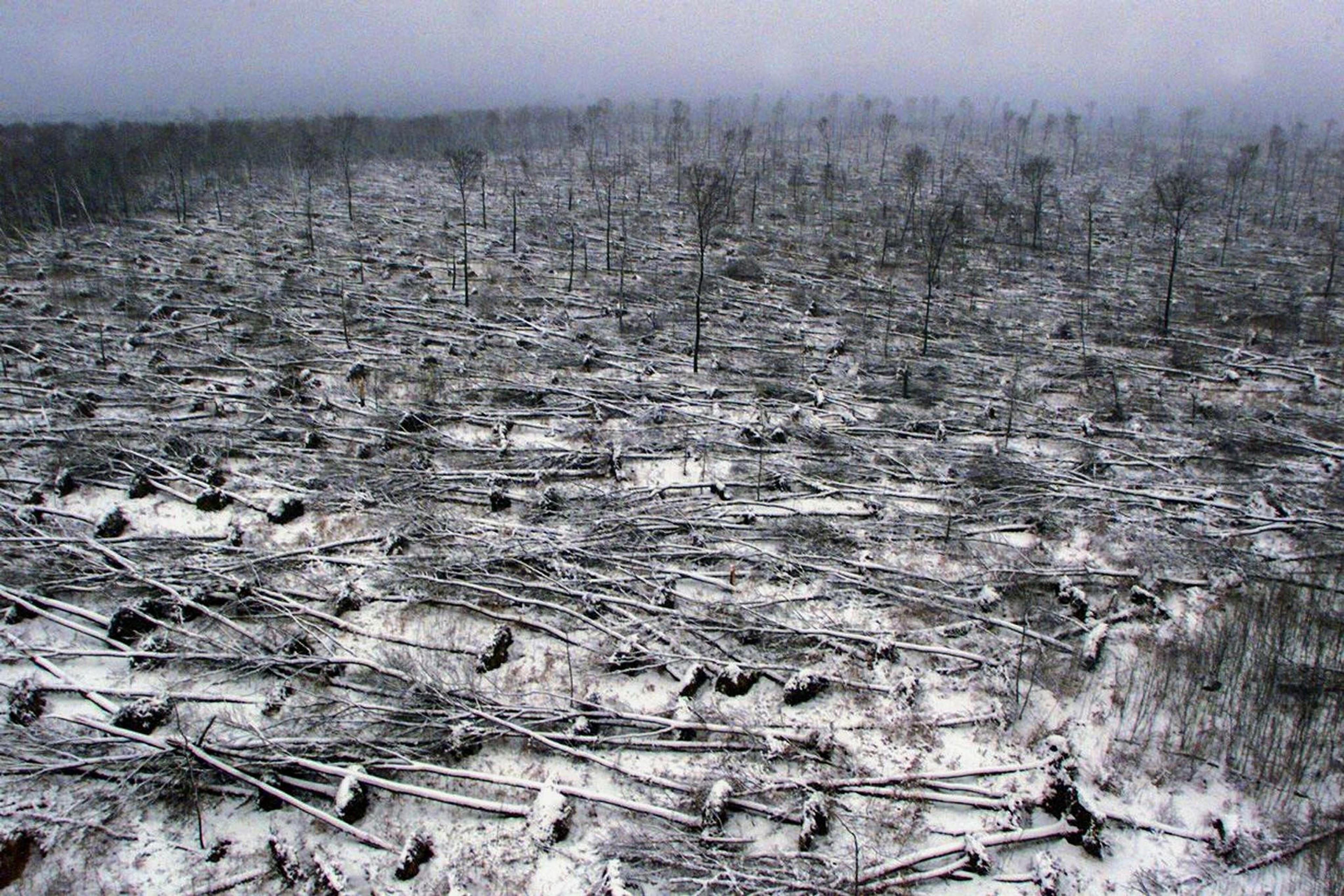 Vingt ans après, le souvenir des tempêtes Lothar et Martin est toujours ...
