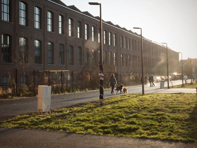 Conflits larvés chez Ankama, la pépite ch’timi du jeu vidéo