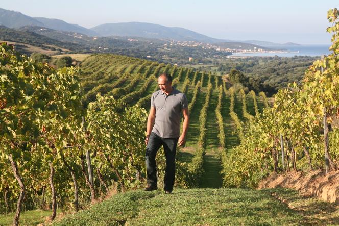 Gilles Seroin, vigneron de la nouvelle vague corse