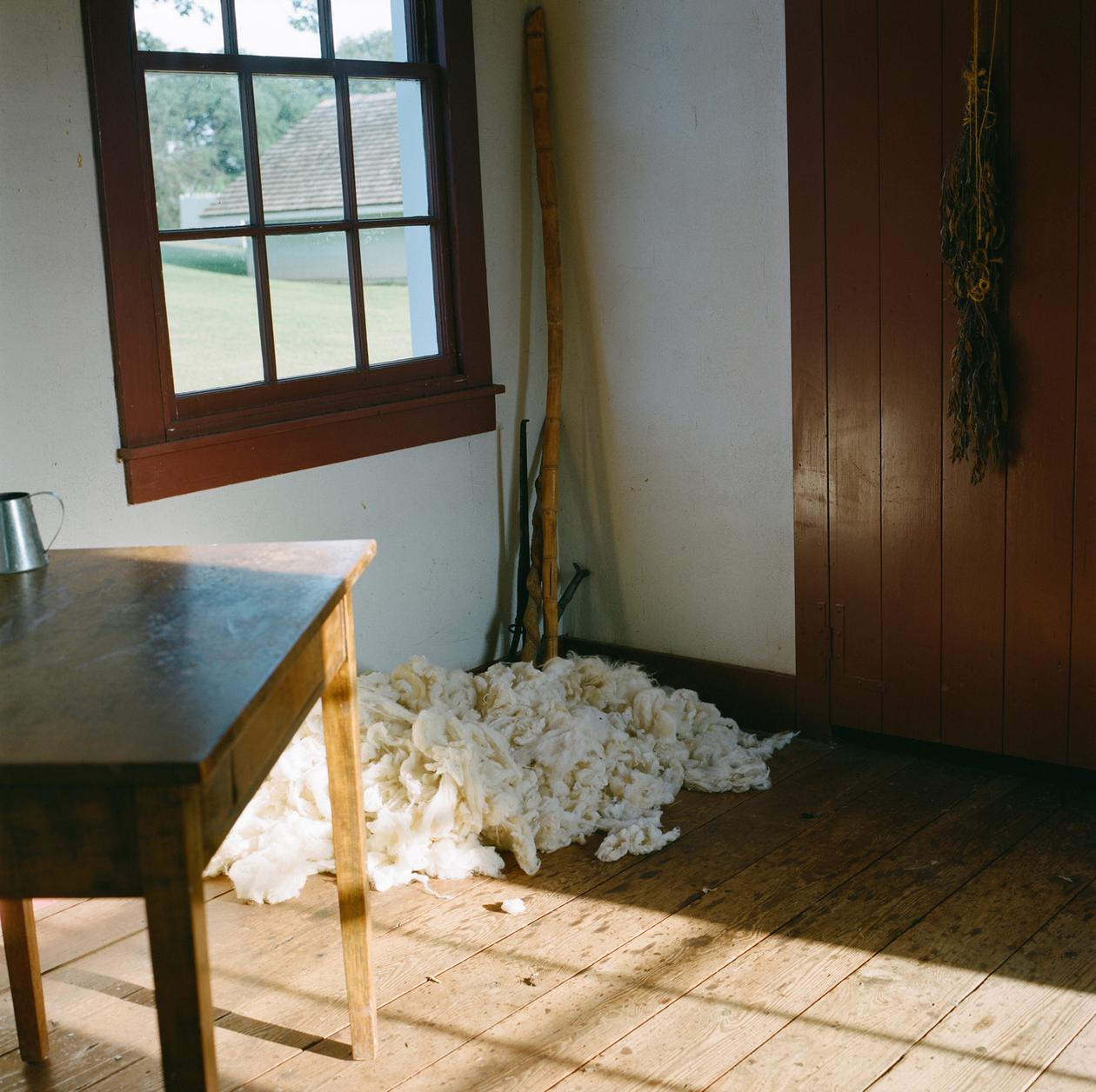 Plantation Monroe aux Etats-Unis, le lourd héritage des descendants d’esclaves