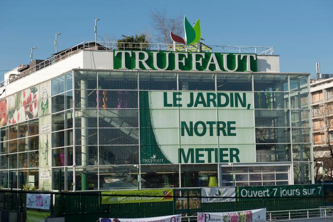 Truffaut attire les néophytes du carré potager et de la jardinière
