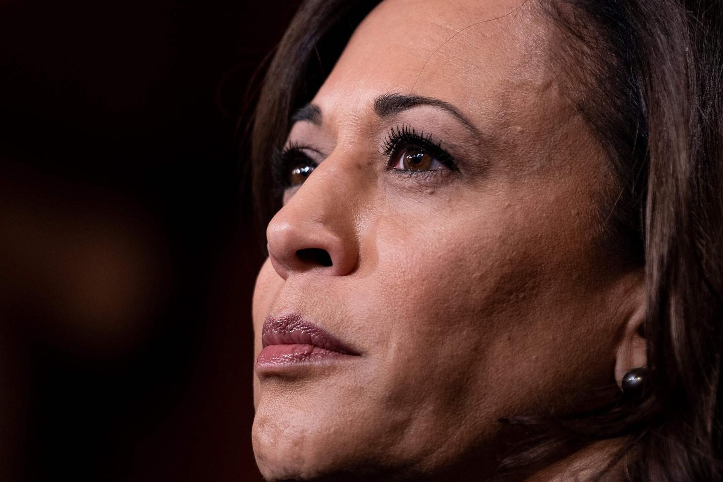 Présidentielle Américaine Kamala Harris Un Choix Historique Contre Trump