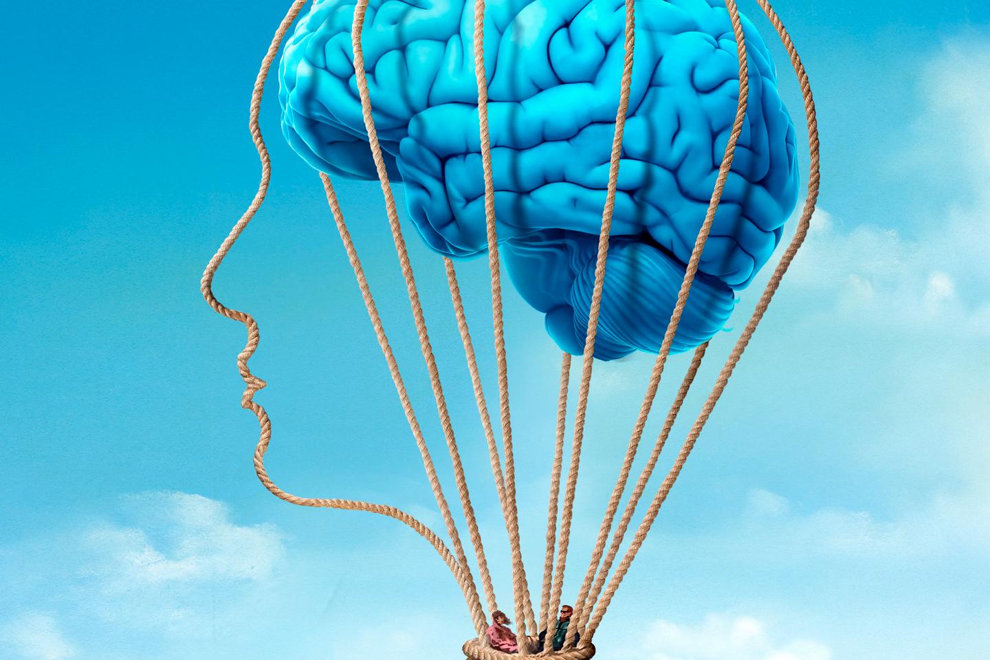 « Notre cerveau ne se met jamais en pause