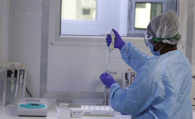 Coronavirus en Afrique : l’OMS encourage la recherche sur les médecines ...