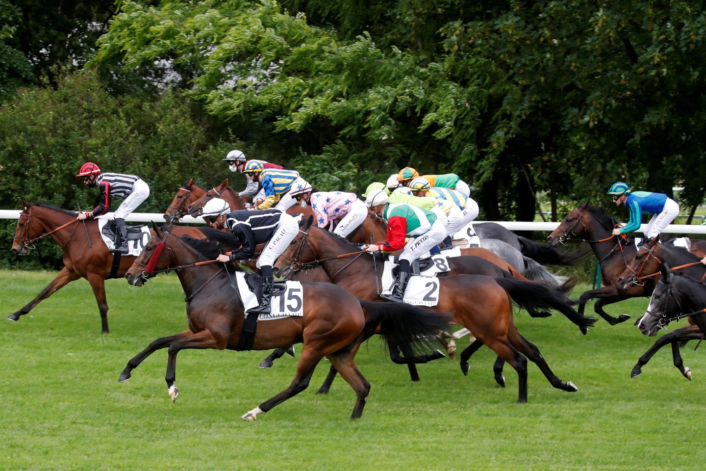 Le PMU signe un été record pour les paris hippiques
