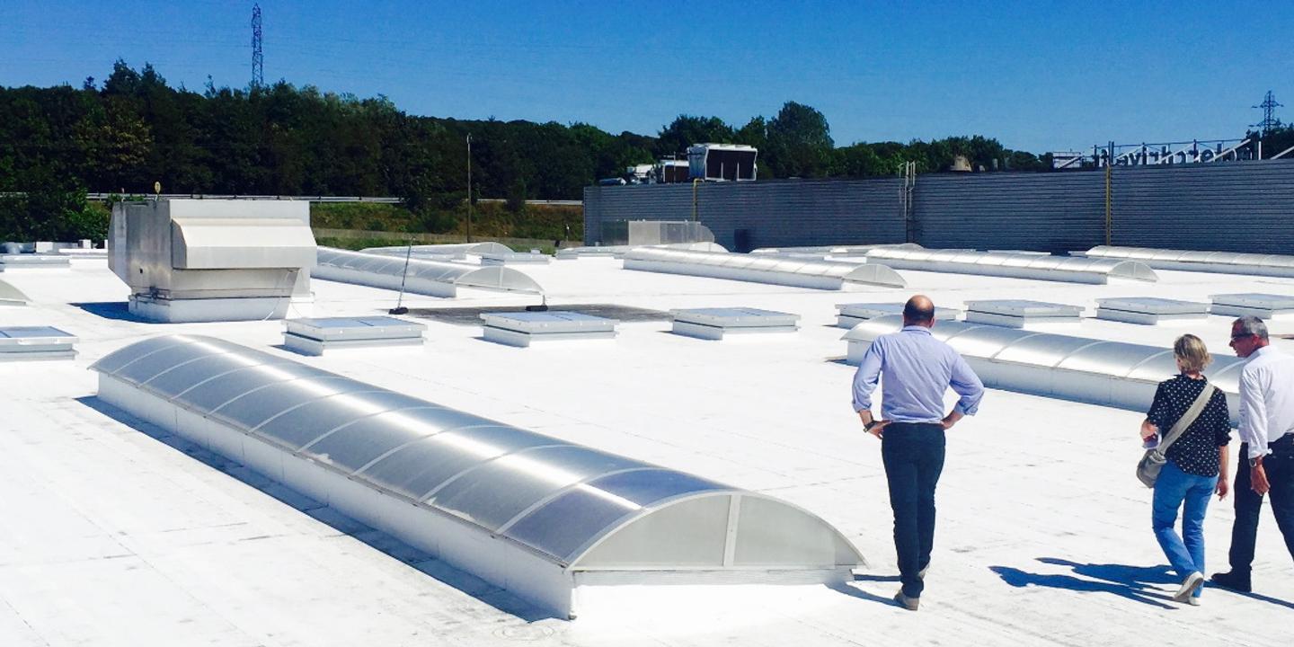 Peindre les toits en blanc… pour des bâtiments au frais