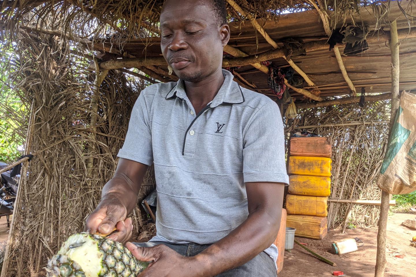 Au Bénin, l’ananas bio et équitable protège les agriculteurs