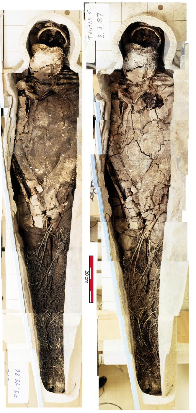 L’affaire Thomas Craven, un polar archéologique qui a duré trente ...