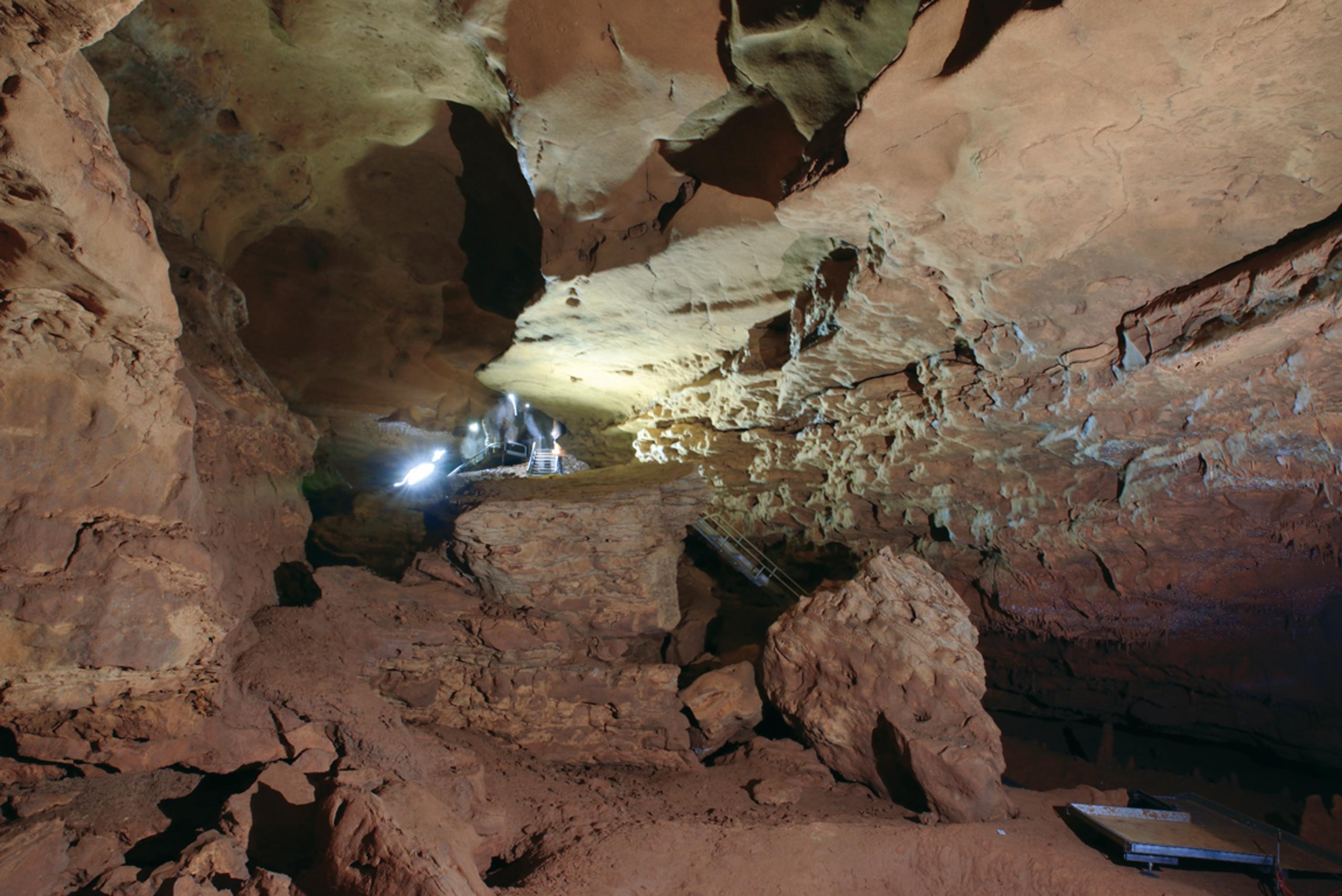 La grotte de Cussac, temple artistique et crypte funéraire de la ...