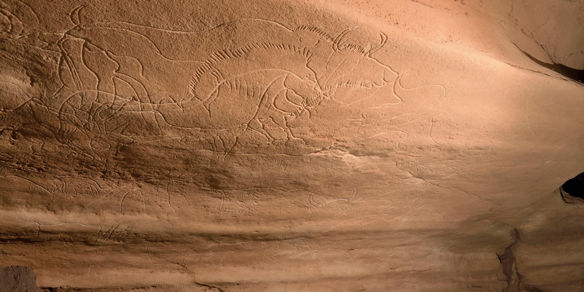 La grotte de Cussac, temple artistique et crypte funéraire de la ...