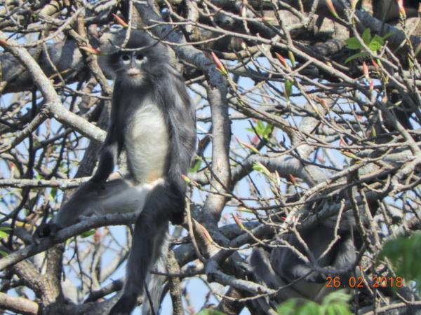 « Découvrir une nouvelle espèce reste quelque chose d’absolument ...