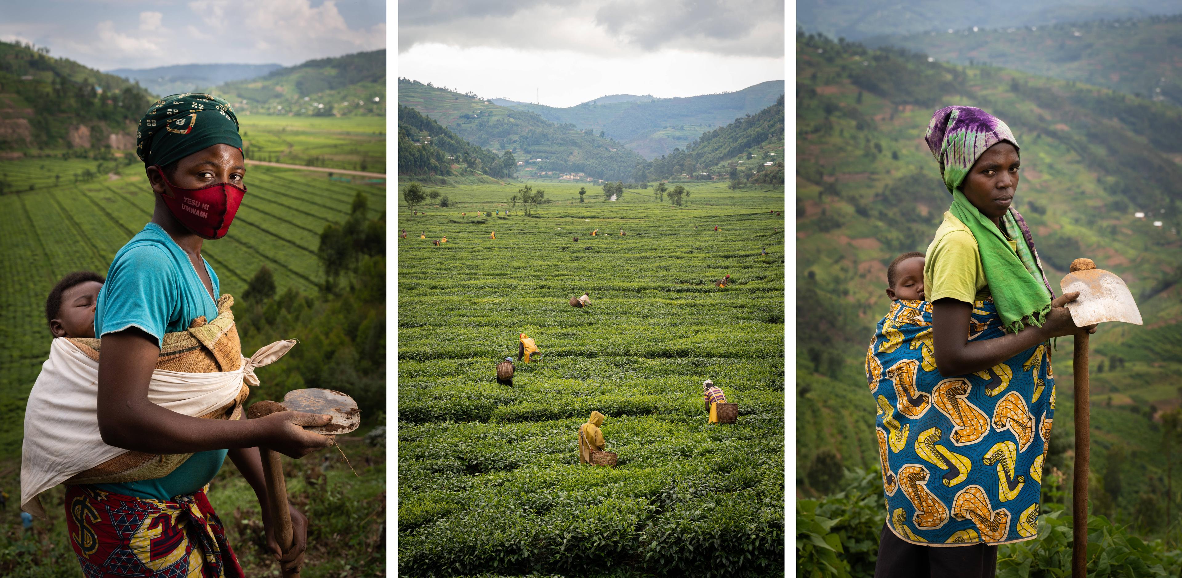Dans le nord du Rwanda, une « opération commando » pour vivre avec le ...