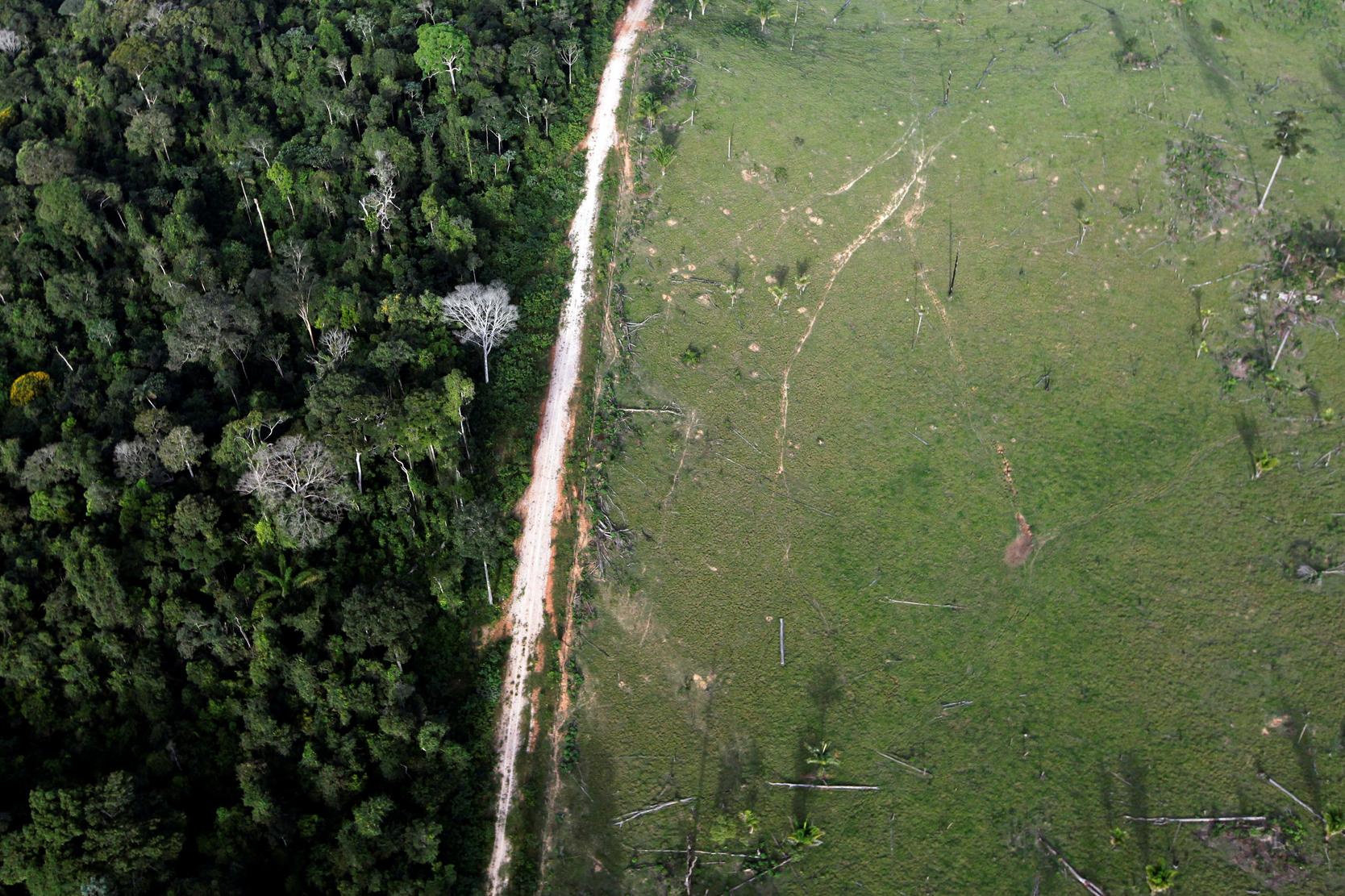 Les fronts de la déforestation se multiplient sur la planète
