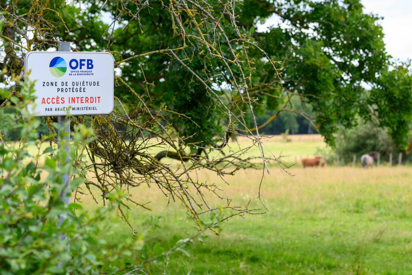 Pour maintenir la biodiversité, la France compte protéger 30 % de son ...