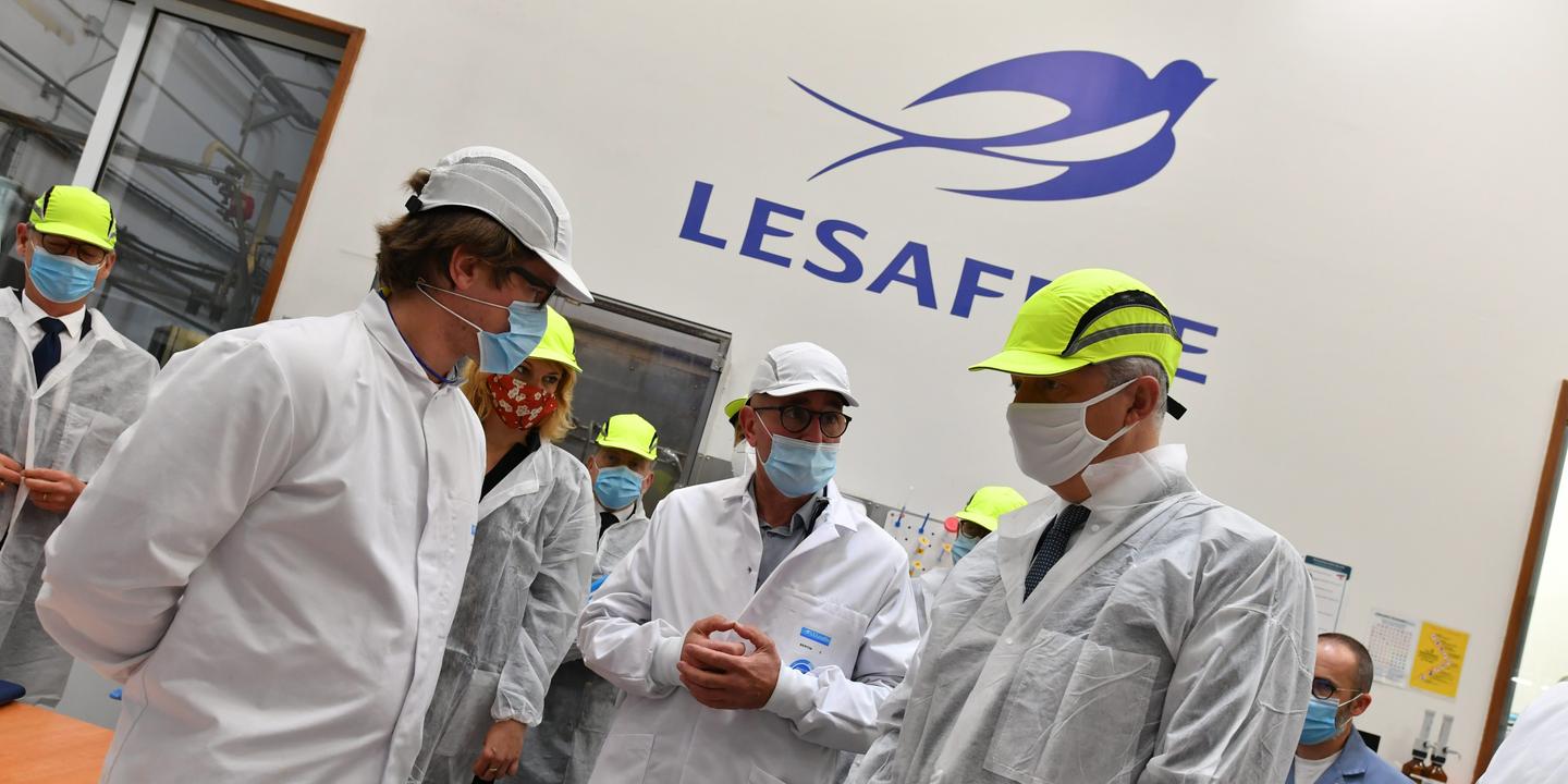 Agroalimentaire : Lesaffre, le leadeur mondial de la levure, ne connaît ...