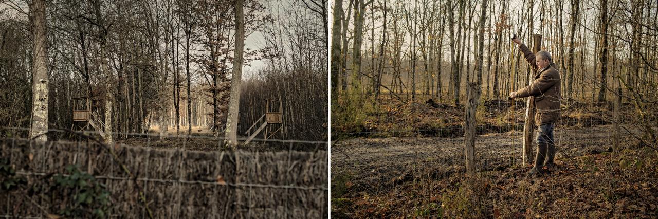 La forêt de Sologne défigurée par ses grillages d’acier