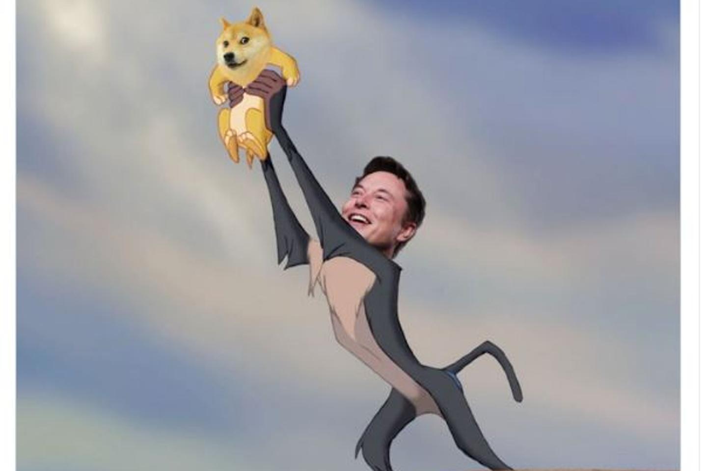 Elon Musk, le plus puissant troll d’Internet