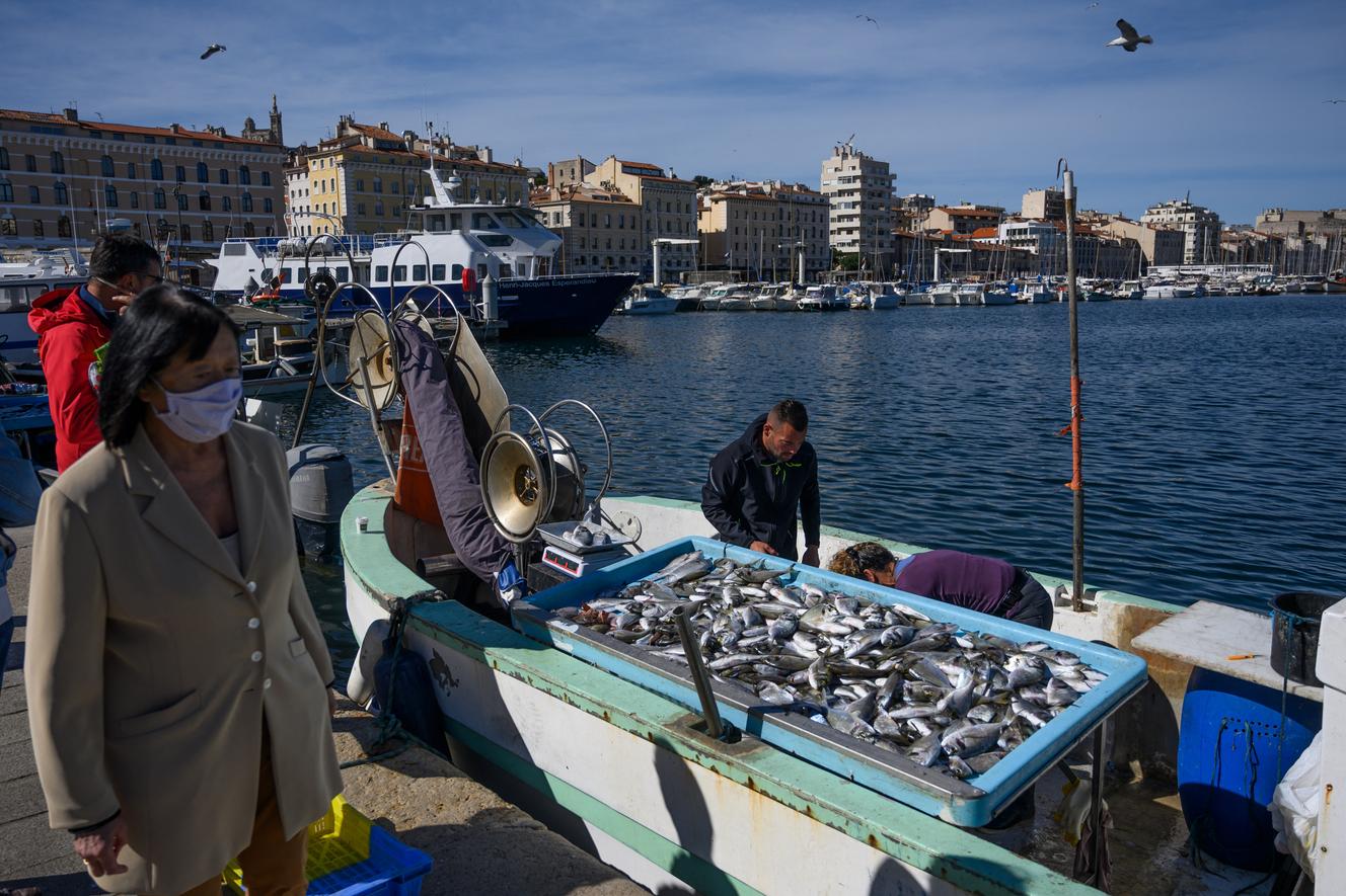 Moins d’espèces de poissons décimées par la surpêche dans les eaux ...