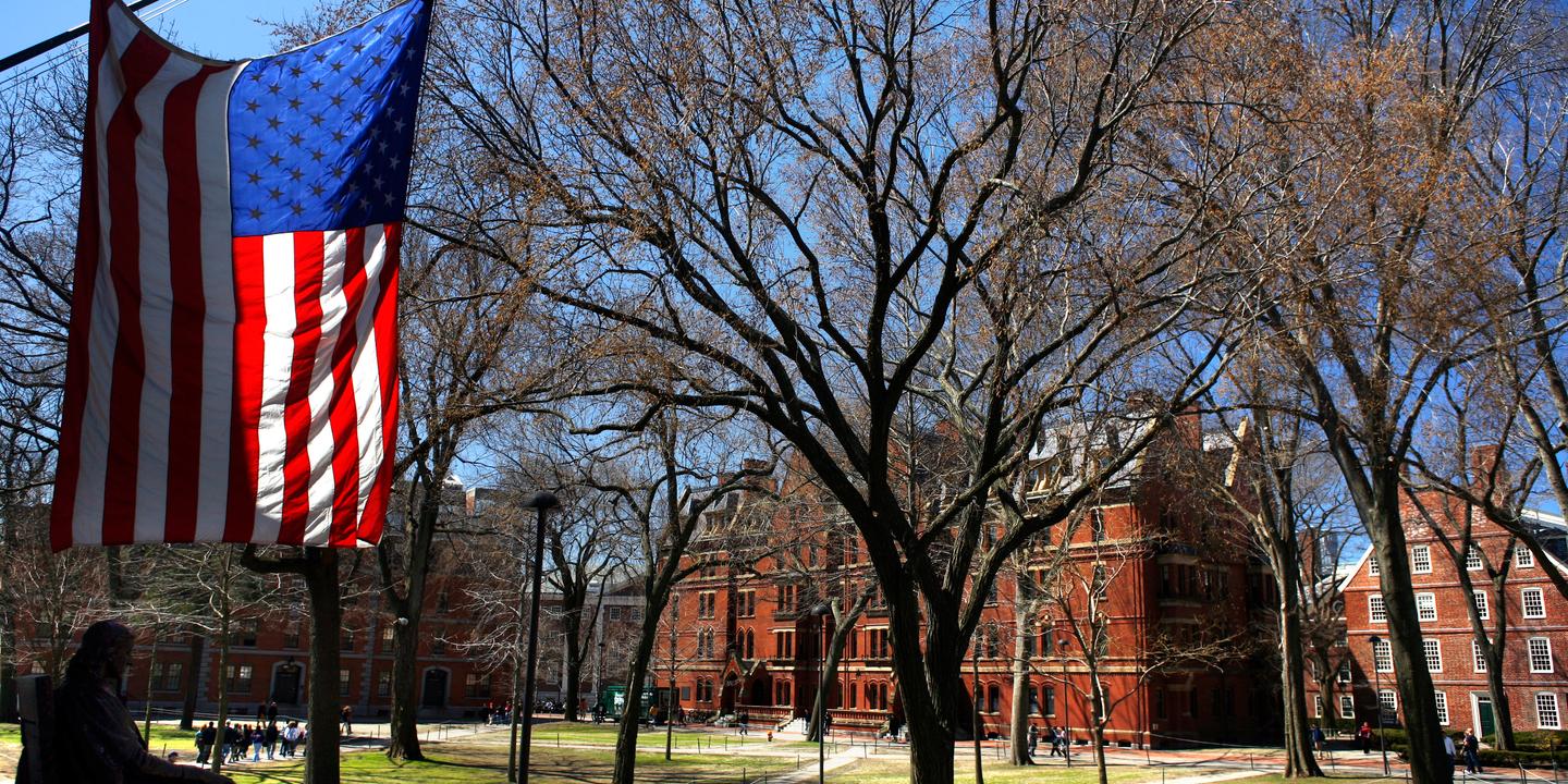 Harvard removes human skin from binding of a book held for over 90 ...