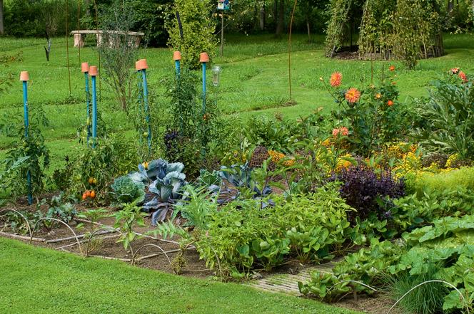Les parfums cultivent les senteurs du potager