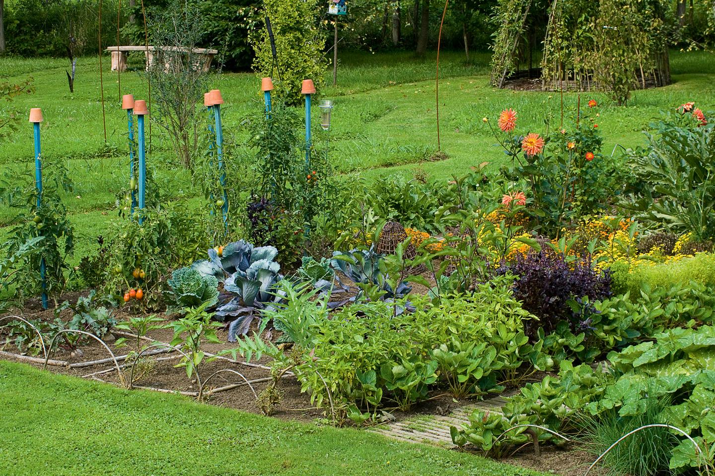 Les parfums cultivent les senteurs du potager